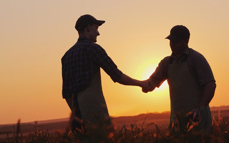 Corr Grain: Your Trusted Partner for Grain Storage Solutions - CORR ...